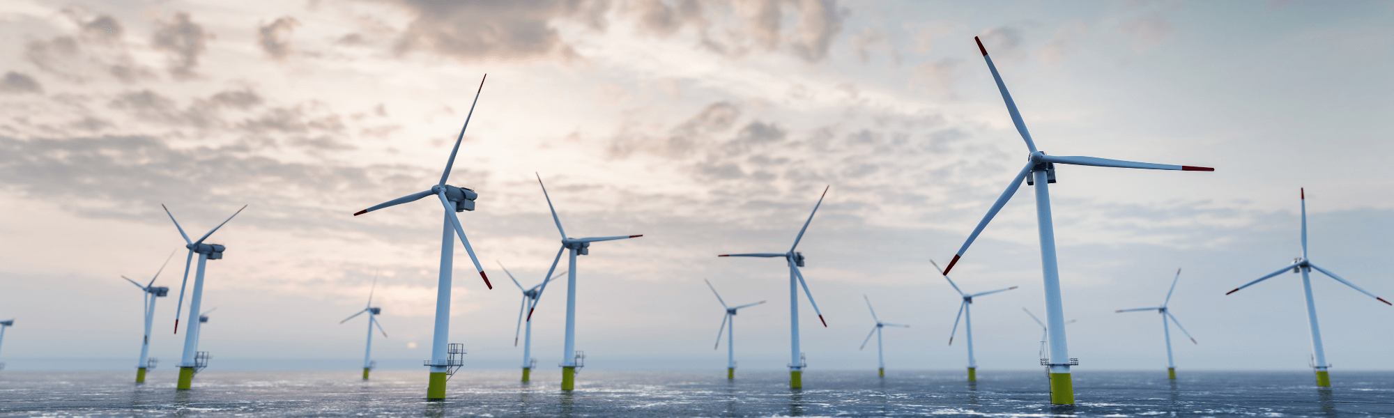 5 Interesting Facts About Offshore Wind Farms - RNDV